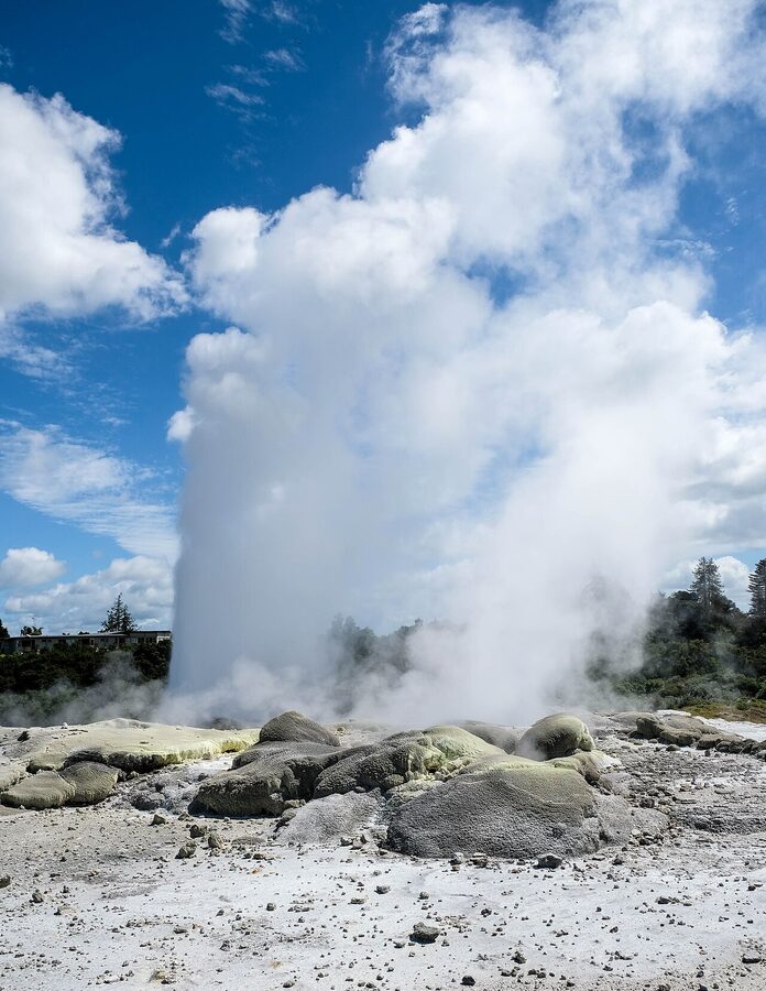 Pohutu Geyser erupting at Whakarewarewa Te Puia Rotorua New Zealand