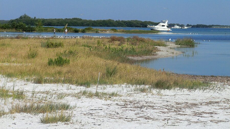 Shoreline at Fort de Soto Park on the St Petersburg Gulf coast