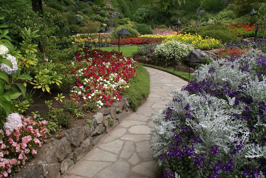 Pathway winding through Butchart Gardens flower beds in Victoria BC