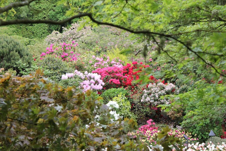 Butchart Gardens summer flower beds in full bloom