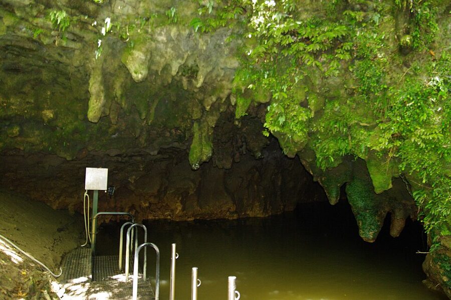 Boat exiting Waitomo Glowworm Cave onto the Waitomo Stream