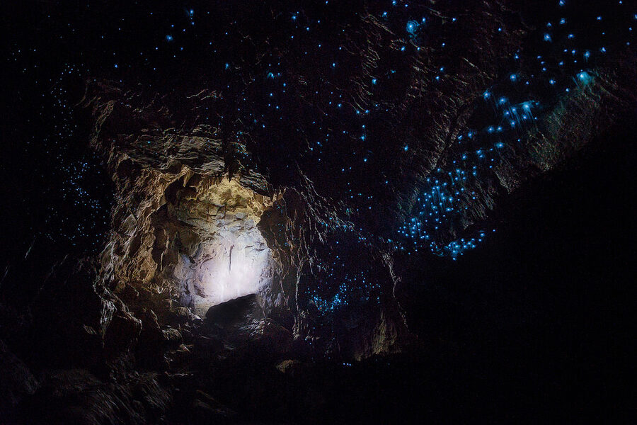 Waitomo cave interior with limestone formations and glowworms