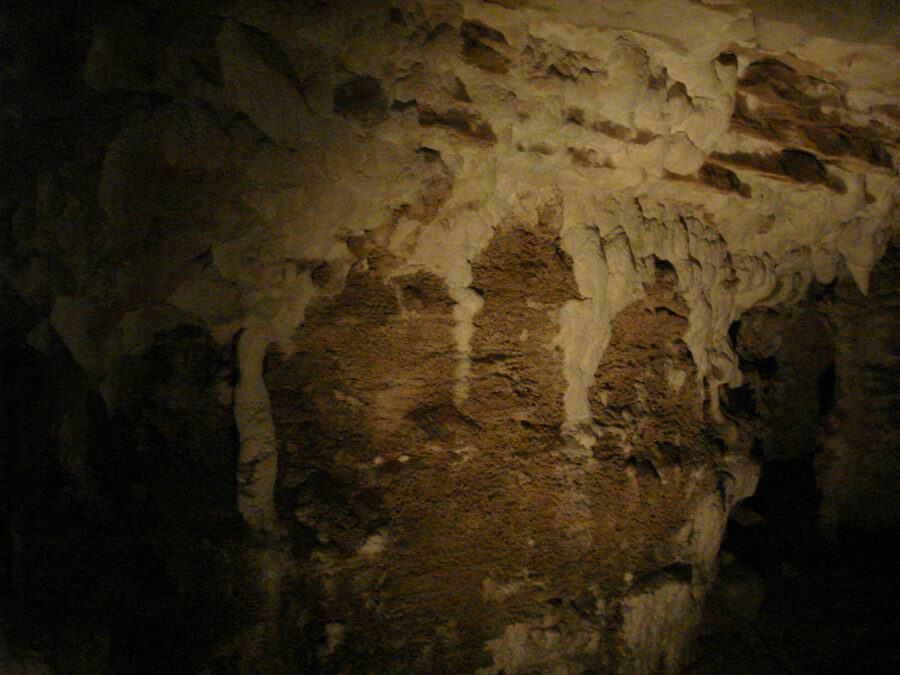 Cathedral chamber formations in Waitomo Glowworm Caves