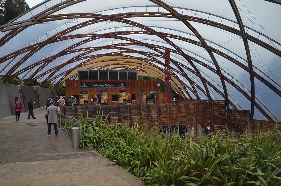 Inside Waitomo Caves main entrance with handrails and lighting