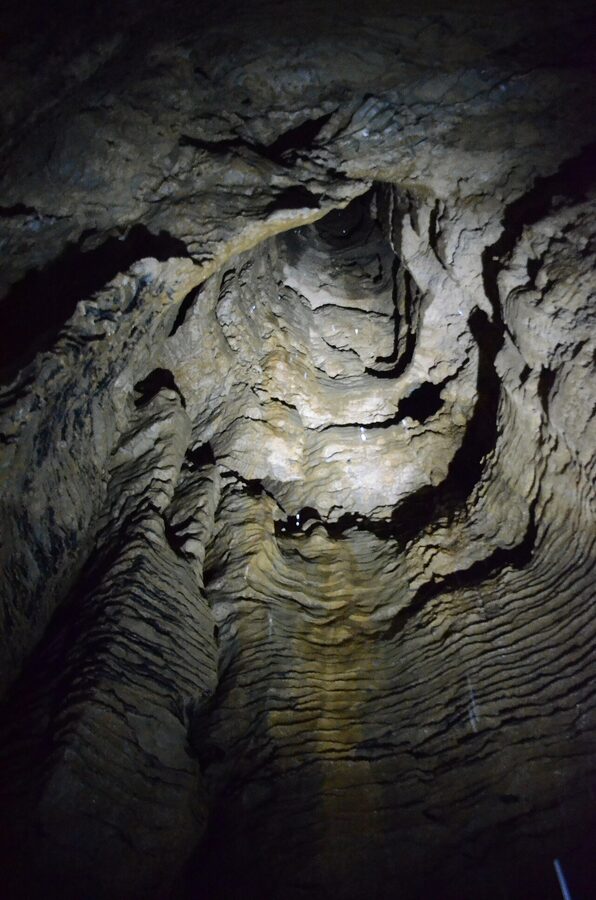 Tall shaft inside Ruakuri Cave Waitomo