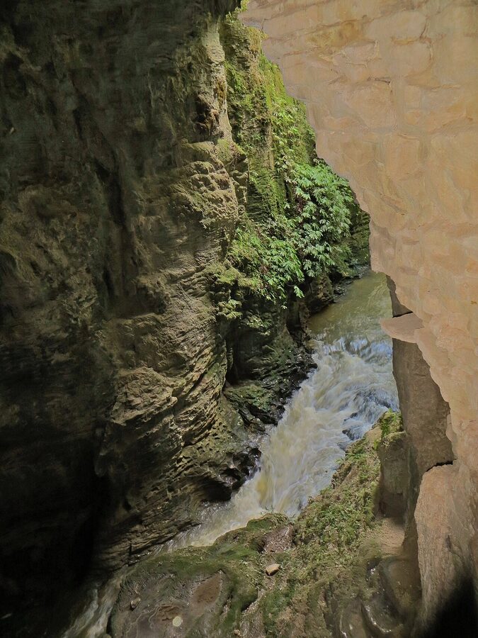 Waitomo Stream entering Ruakuri Caves