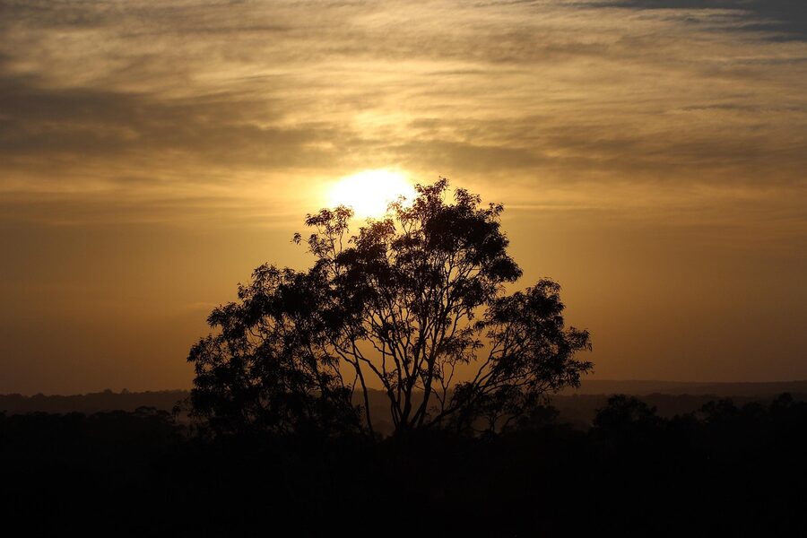 Hunter Valley sunrise over hills and vineyards