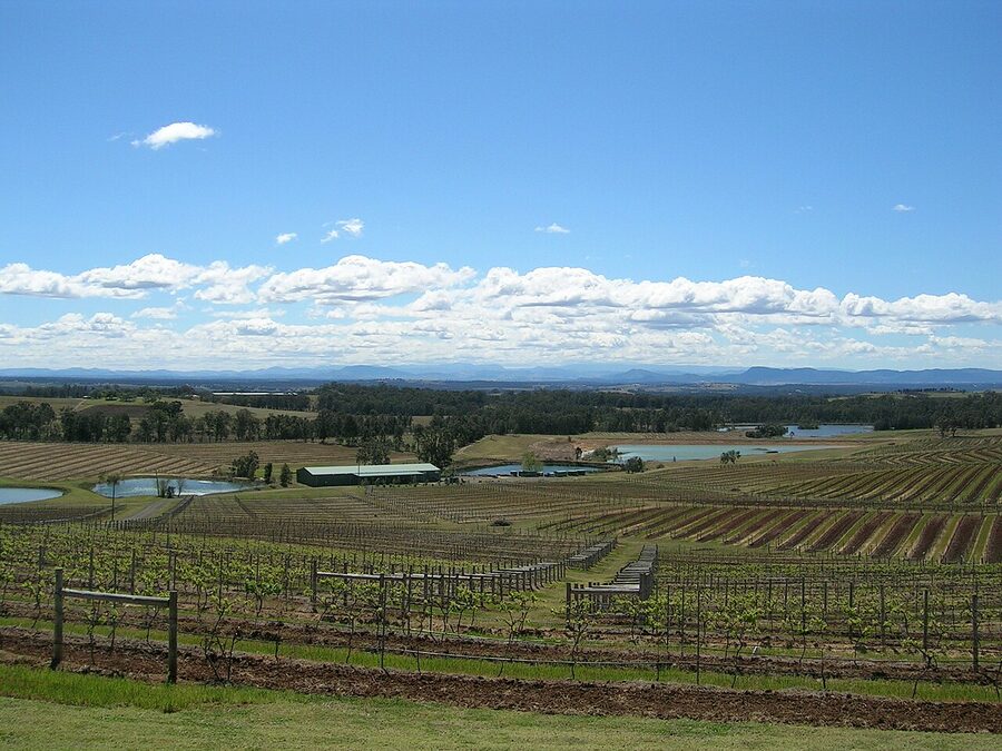 Hunter Valley vineyard panoramic view NSW