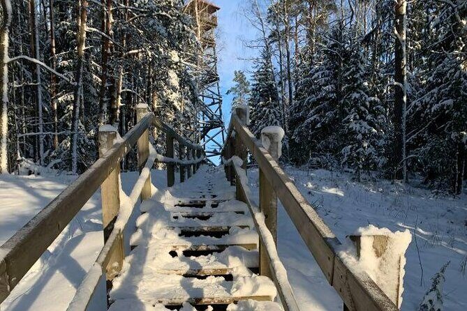 Husky dog sled/bike kart ride in Latvia ~ 3h group tour from Riga - Deep Dive into the Itinerary