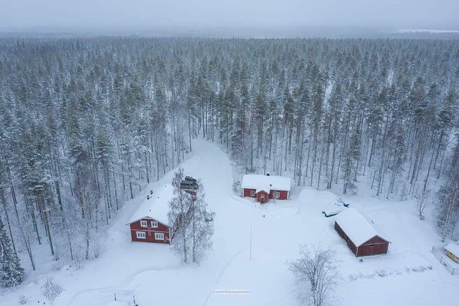 Husky safari - Transportation & Logistics