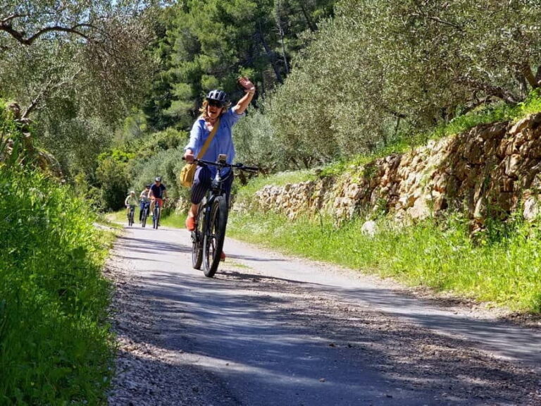 Hvar Island Self-Guided E-Bike Tour - The Route and Its Highlights