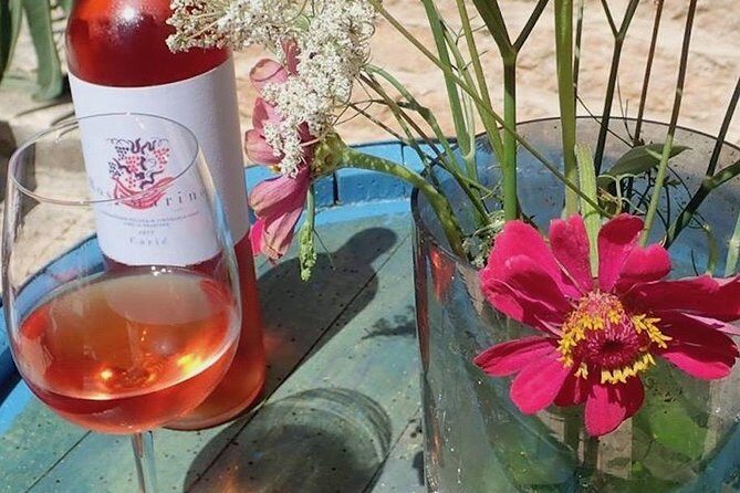 Hvar Small Group Wine Tour and Authentic Dalmatian Dinner - The Itinerary: What to Expect