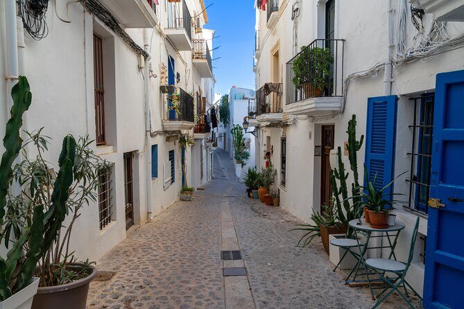 Ibiza Highlights: Ultimate Shore Excursion with Port Pickup - Practical Details and Tips