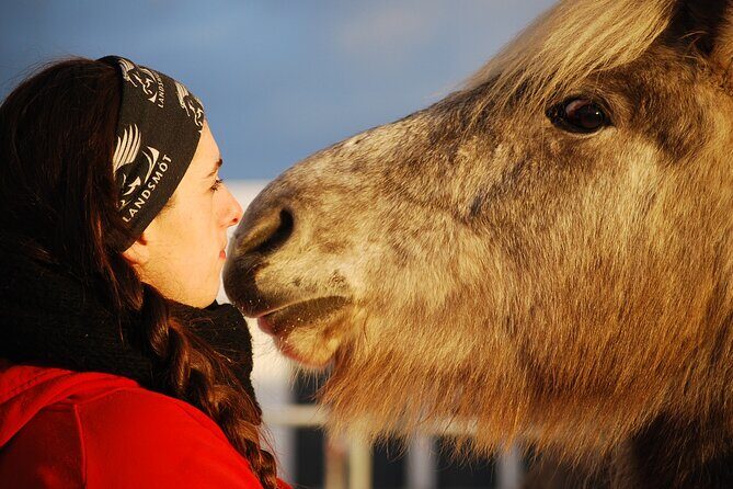 Icelandic Horse Riding and Whale Watching Tour from Reykjavik - The Sum Up: Is This Tour for You?