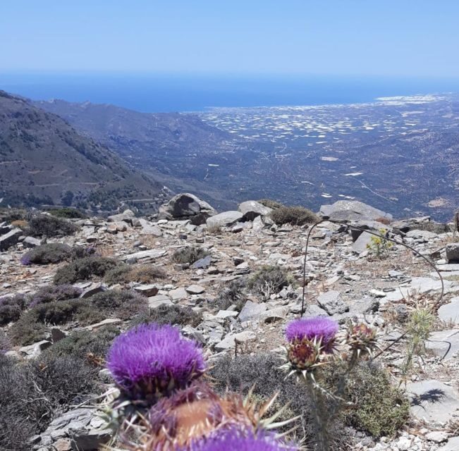 Ierapetra: Eastern Crete Nature Jeep Driving Tour - Authentic Experiences and Authentic Insights