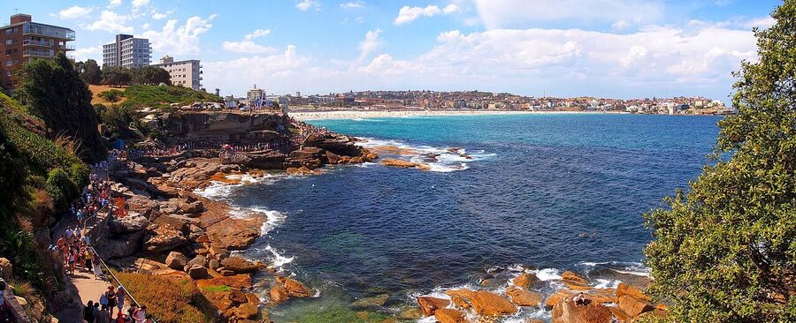 The cliff section of the Bondi coastal walk