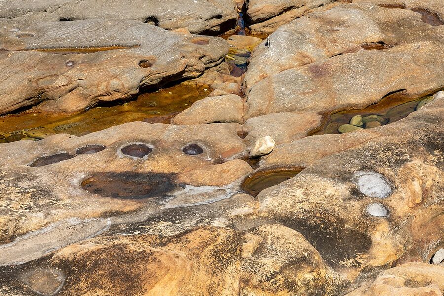 The Bondi to Bronte section of the coastal walk along the cliffs