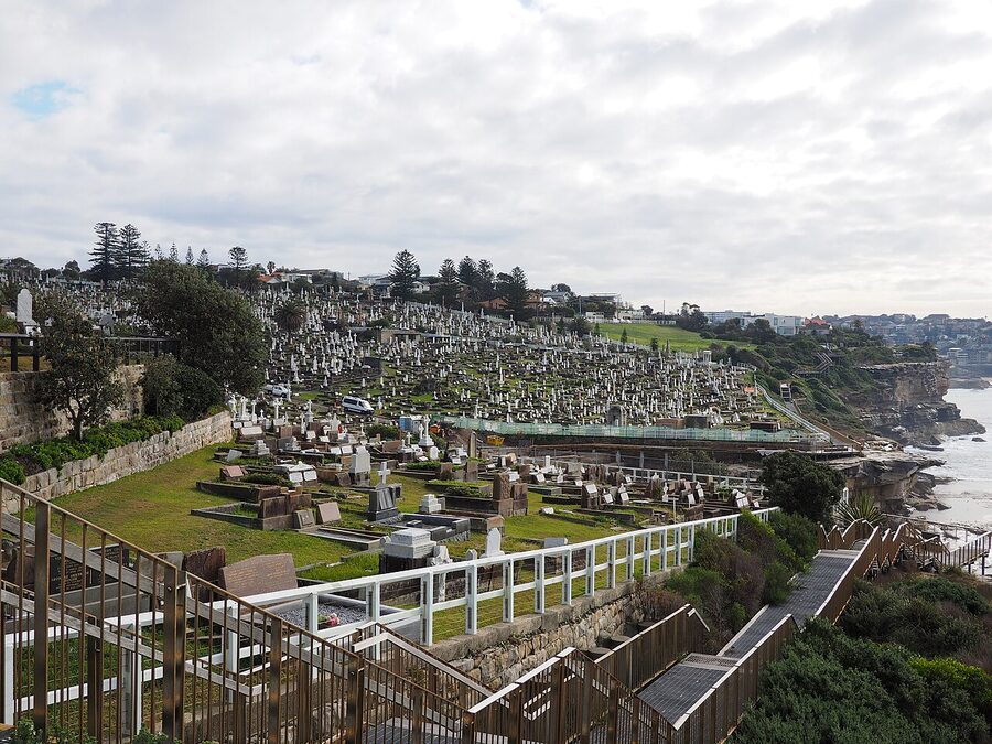 Waverley Cemetery and the cliff boardwalk on the Bondi to Coogee walk