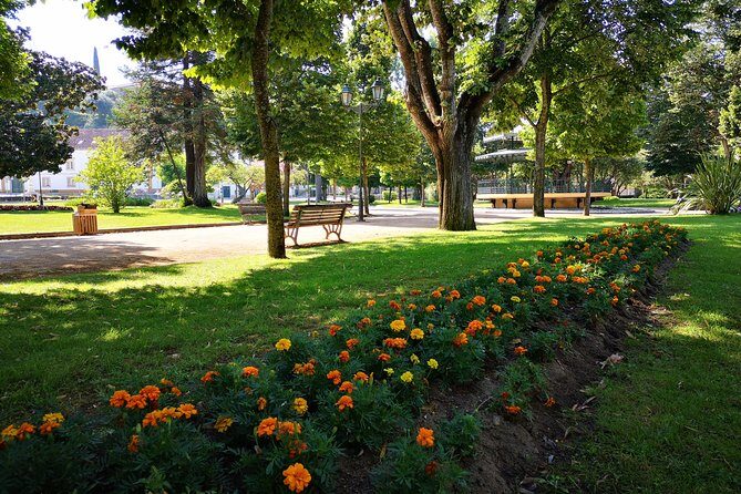 In the Heart of the City: Get to know the history of Tomar and taste local Tapas! - Authentic Experiences and Hidden Gems