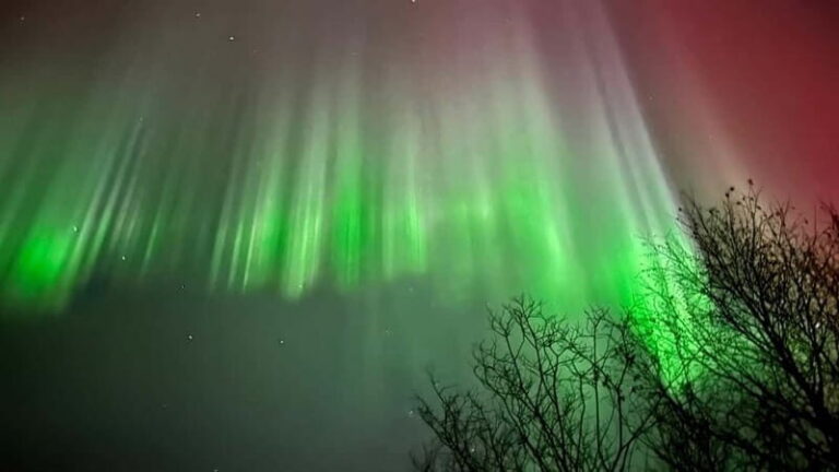 Inari/Ivalo: Aurora Hunting Tour by Car with Warm Drinks - Why This Tour Works for Travelers