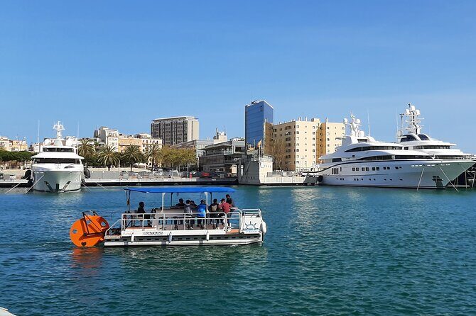 Individual Boat Rental Pedal Cruises Valencia Cycle Boat - Who Is This Tour Best For?