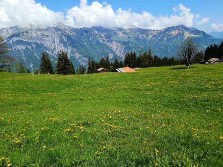Interlaken: Highlights Tour with a Local by Private Car - Detailed Breakdown of the Itinerary