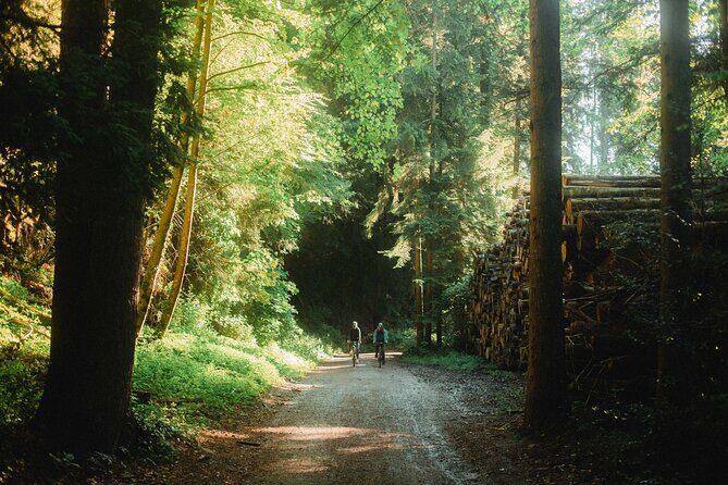 Interlaken Valley E-Bike Tour: Rivers, Lakes, Forests & Castles - What Sets This Tour Apart