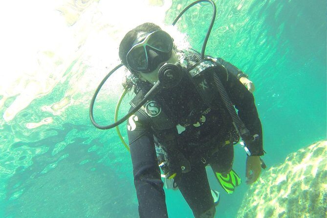 Introdive - Why Travelers Love This Tour