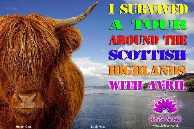 Invergordon Port PRIVATE TOUR 16 passengers MAXIMUM - Final Thoughts: Is It Worth It?