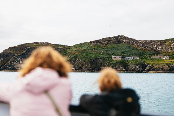 Ireland's Eye and Howth Coastal Boat Tour - Wrap-up: Is This Tour Worth It?