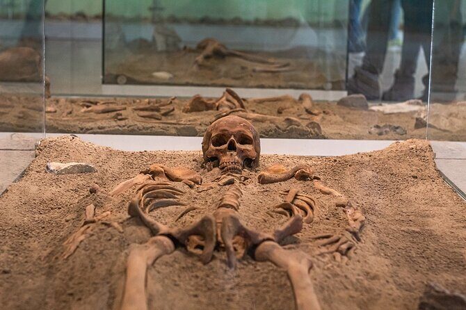 Iron Gate NP Tour with 2 viewpoints - Winter Edition - Transportation and Comfort