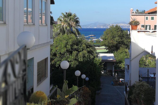 Ischia Private Day Trip from Sorrento with Local Guide and Driver - The Value & Price Point