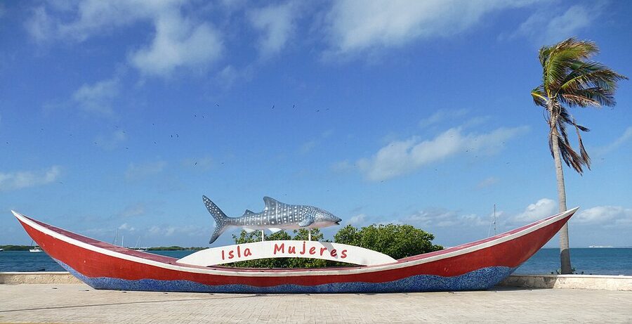 Whale shark seen on a snorkel trip from Isla Mujeres