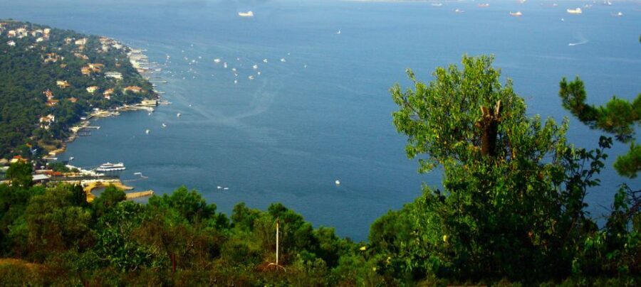 Istanbul: Day Trip to the Princes' Islands - The Cruise: A Scenic Journey