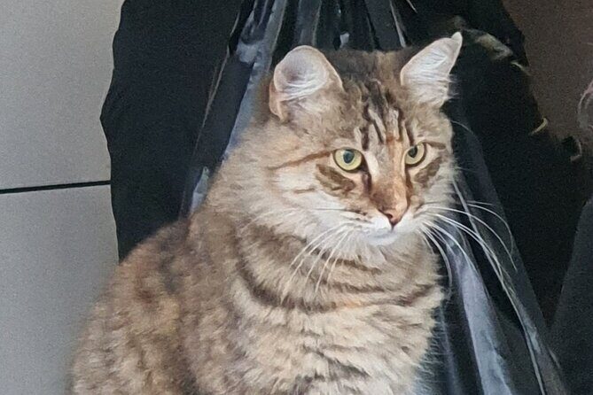 Istanbul famous sight Skip-the-Line Private Tour with LocalExpert - Why this tour truly stands out