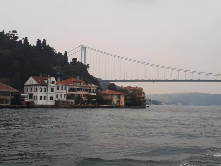 Istanbul: Full-Day City Tour with Bosphorus Cruise and Lunch - Discovering Istanbul: Whats Included and What to Expect