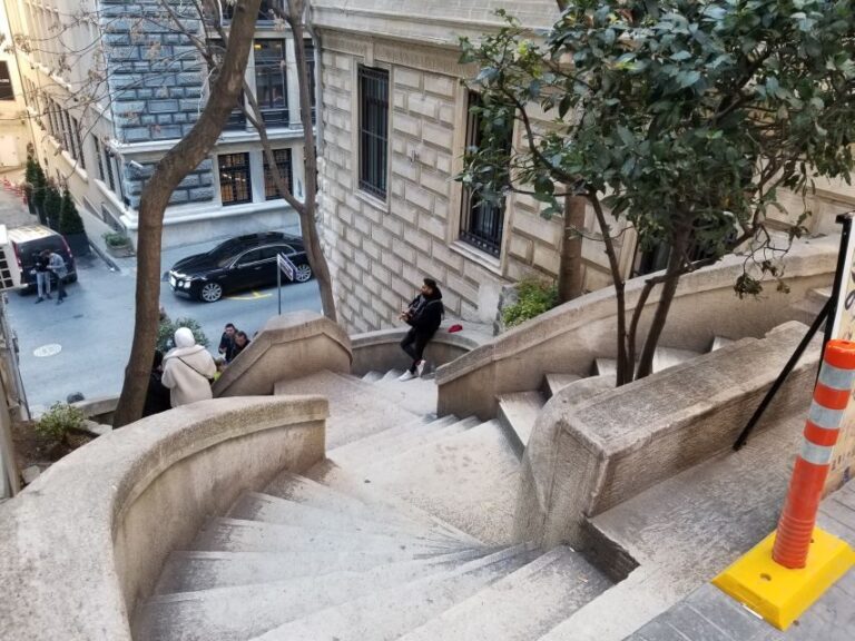 Istanbul: Galata District Walking Tour - Who Will Love This Tour?