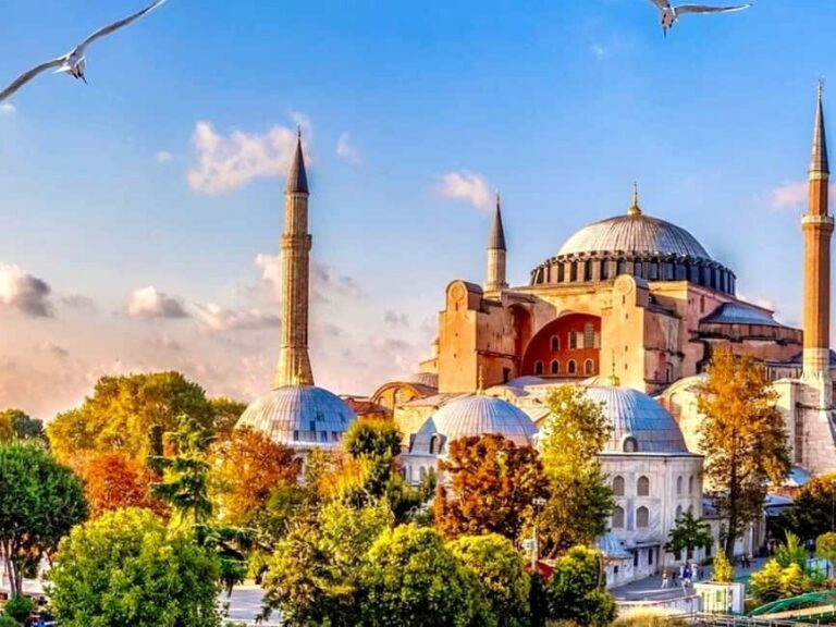 Istanbul: Hagia Sophia & Blue Mosque Entry Tickets - What Travelers Are Saying