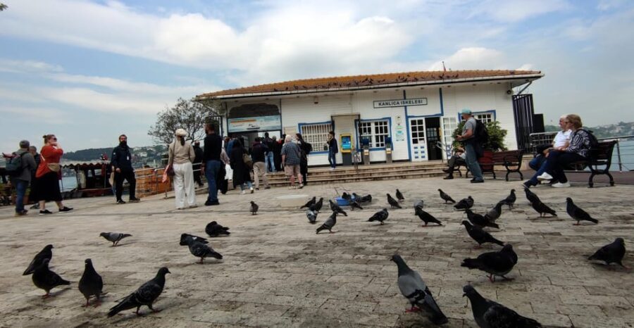 Istanbul Revealed: Historic Pathways and Bosphorus Serenity - The Final Word