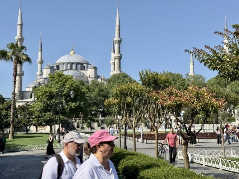 Istanbul Small-Group City and Secret Streets Tour with Guide - Who Will Love This Tour?