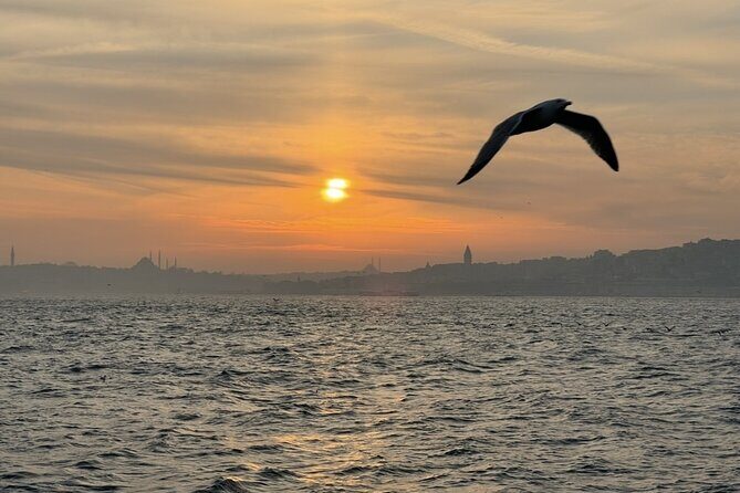 Istanbul's Golden Hour: Bosphorus Sunset Cruise By Boat - What Travelers Say: Authentic Insights from Reviews