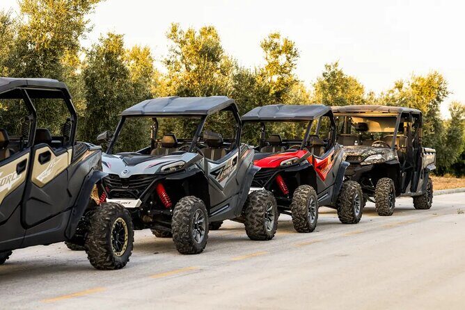 Istra Buggy Tour with a Local Guide - The Sum Up: Is It Worth It?