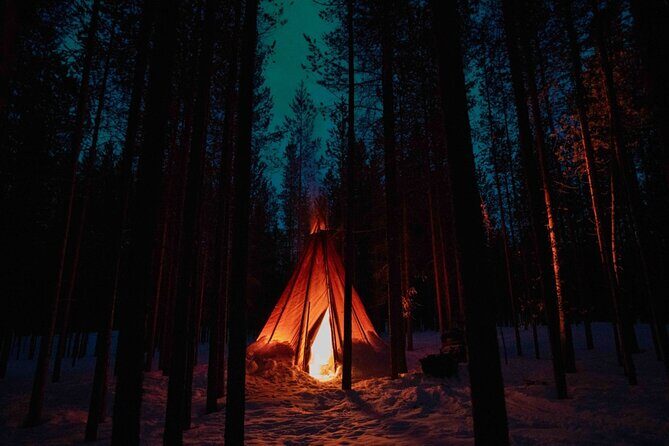 Ivalo: Aurora Hunting with Reindeer - The Authenticity and Value of the Experience