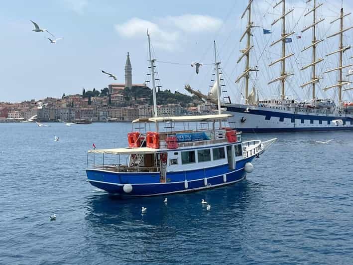 Izlet brodom iz Vrsara: Zalazak sunca i druenje s delfinima - Value for Money and Practicalities