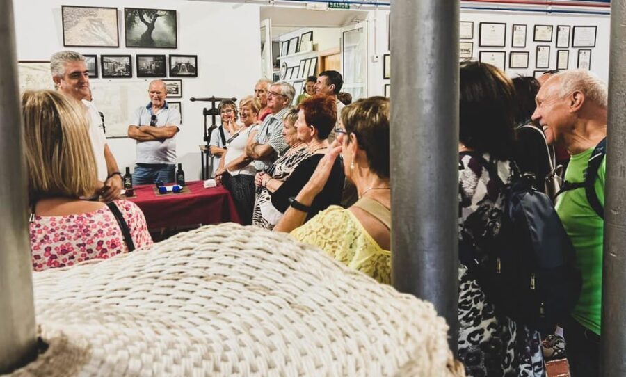 Jaén: Guided Olive Mill Tour with Olive Oil Tasting - What You Can Expect from the Tour