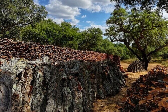 Jeep Cork Tour Experience Pack - Frequently Asked Questions