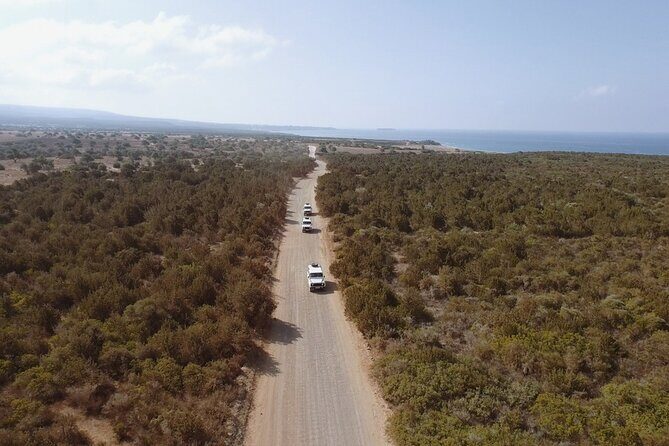 Jeep Safari to Akamas from Limassol - What the Experience Means for You