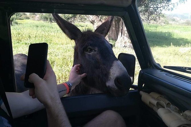 Jeep Safari Troodos - Kykkos monastery Waterfall and Venetian bridge from PAPHOS - A Deep Dive into the Itinerary