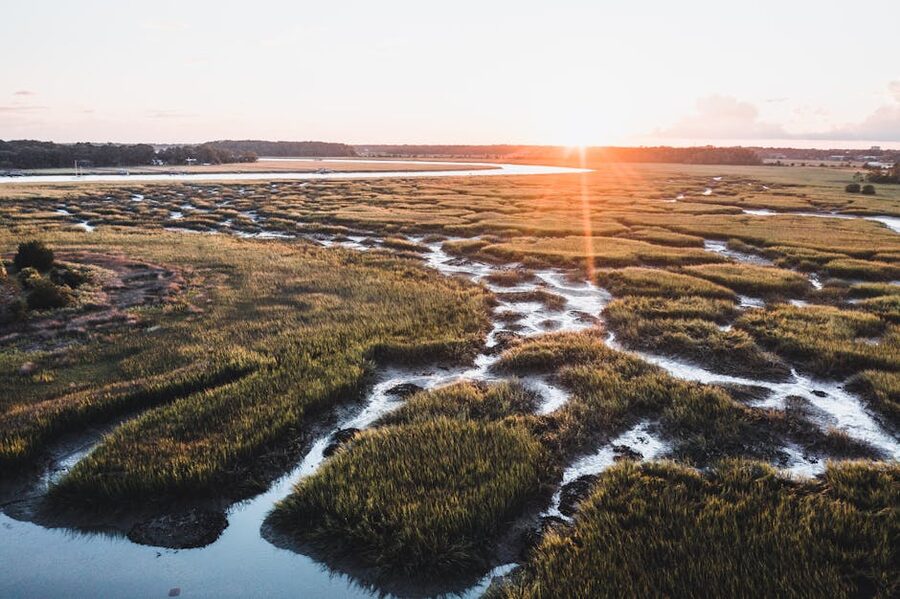 Aerial view of coastal Georgia marshlands and tidal creeks