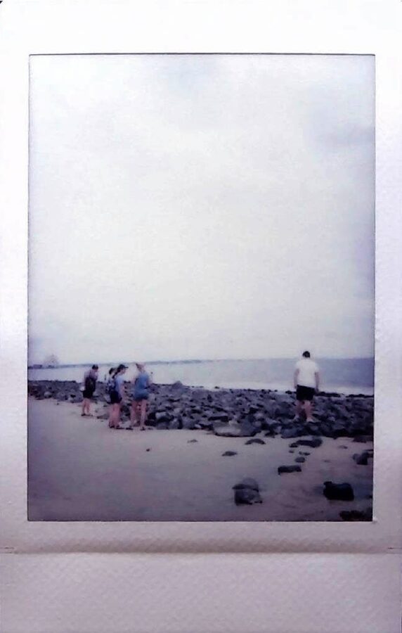 Driftwood Beach on Jekyll Island